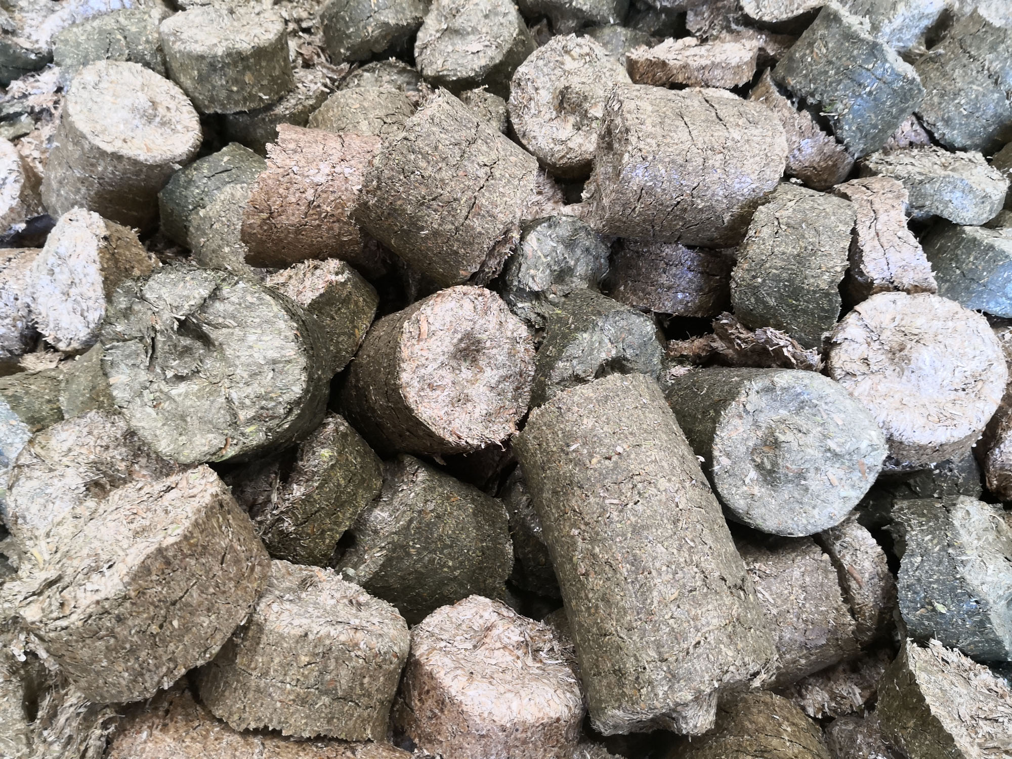 Biofuel technology - Cellulosic ethanol, Bioethanol Denmark, biogas ...